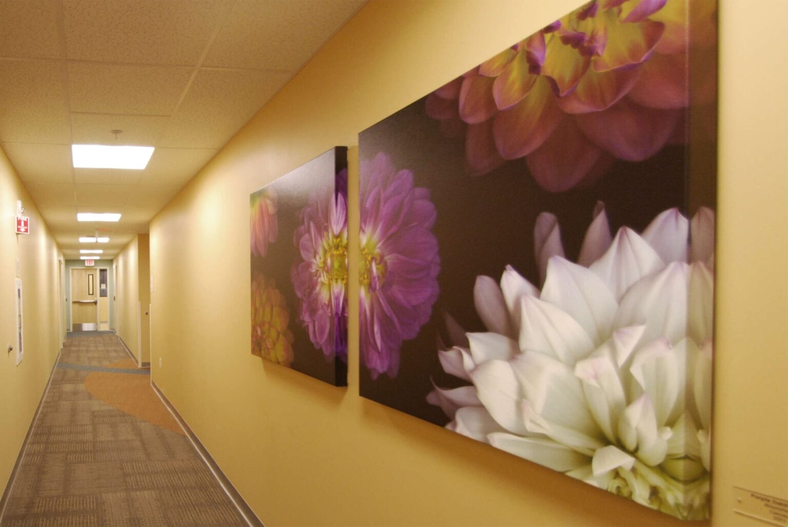 Mental Health Facility – Kaiser Permanente Antioch – Hibser Yamauchi ...